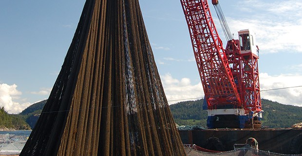 Sea Roamer Marine Services | Towing Aquaculture Transport Salvage | BC